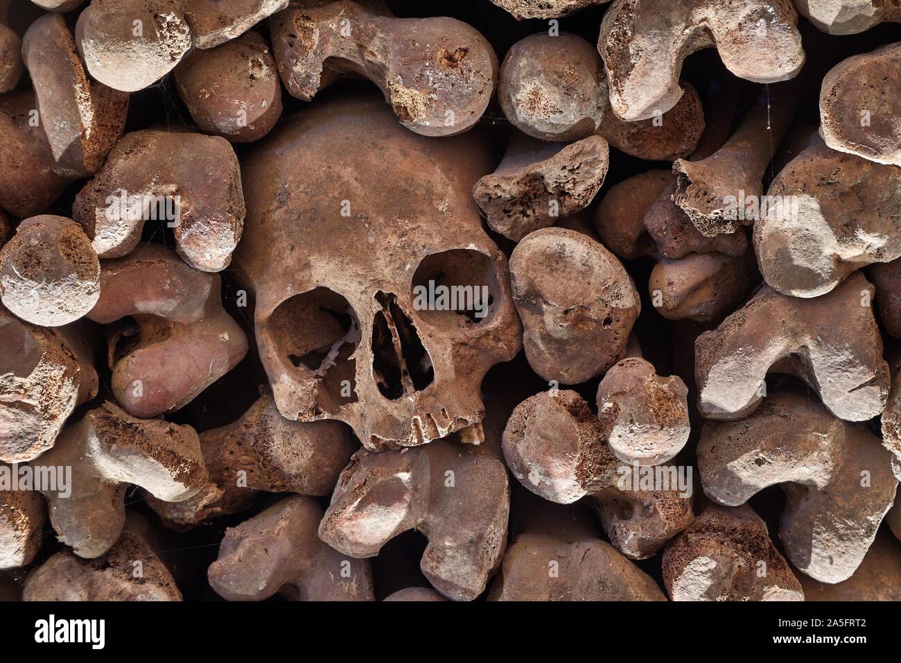 Many scary human skulls hi-res stock photography and images - Alamy