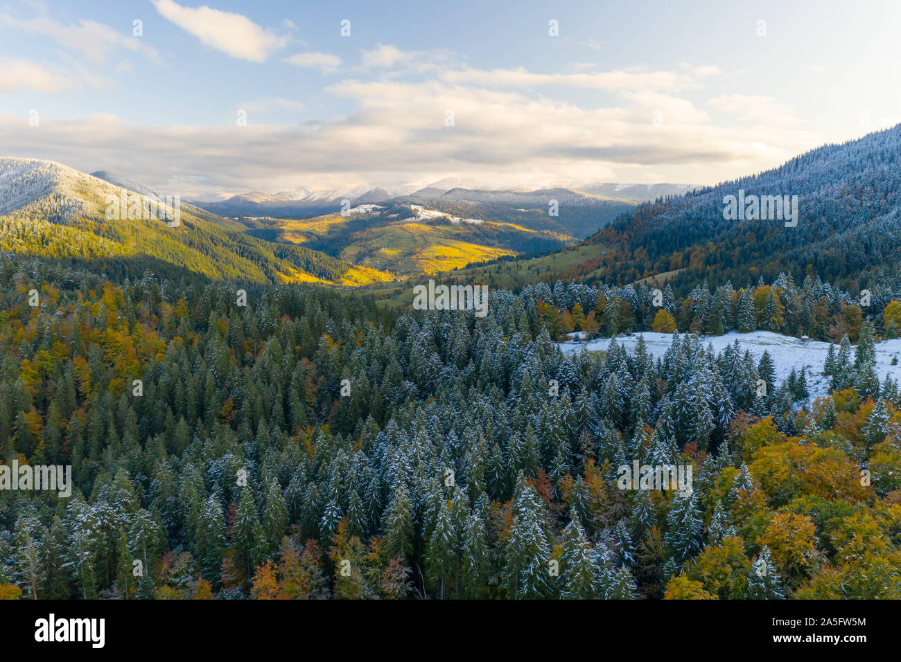 Fly over green field pine hi-res stock photography and images - Alamy