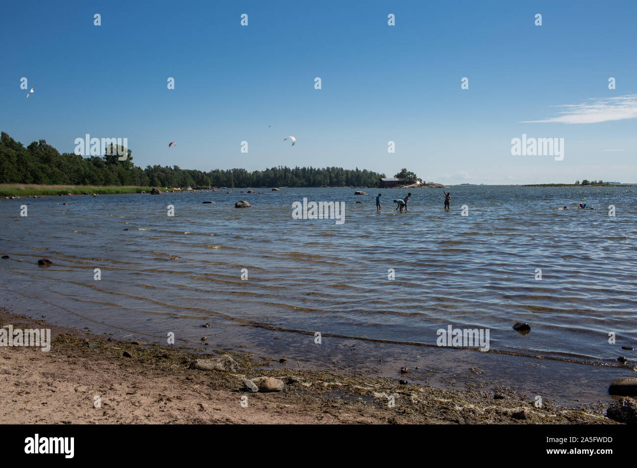 A beautiful beach and clear blue sky with people having fun and ...