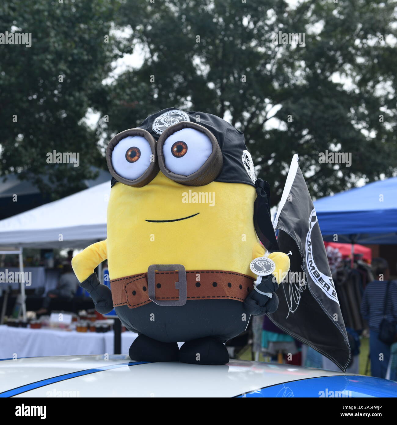 The Minion for Team Shelby Stock Photo - Alamy