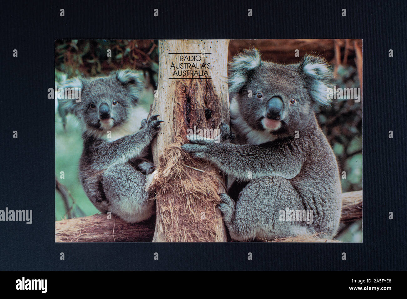 Qsl hi-res stock photography and images - Alamy