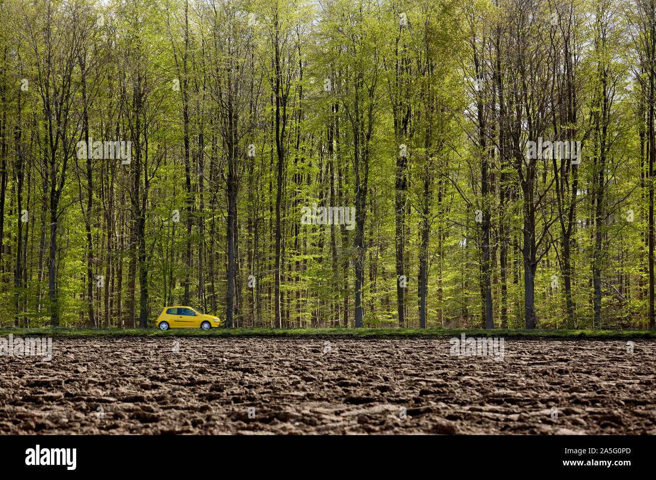 Small yellow car against green tree line Stock Photo - Alamy