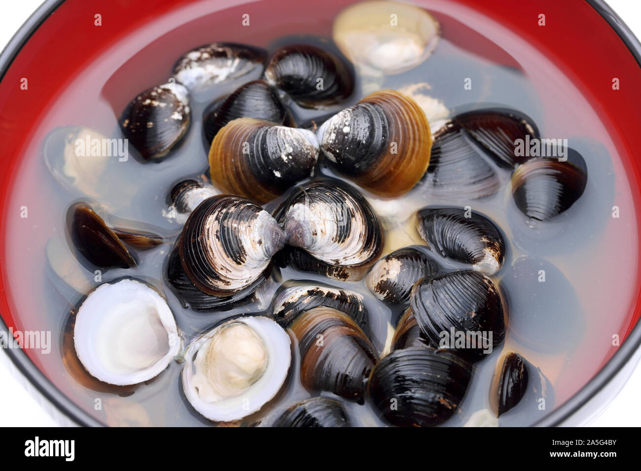 Shijimi Clam Soup High Resolution Stock Photography and Images - Alamy