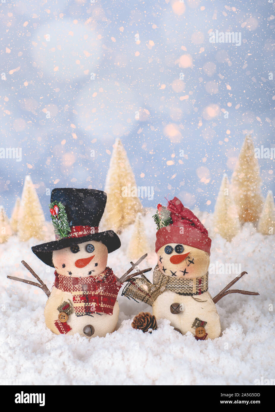 Falling snow on snowman hi-res stock photography and images - Alamy