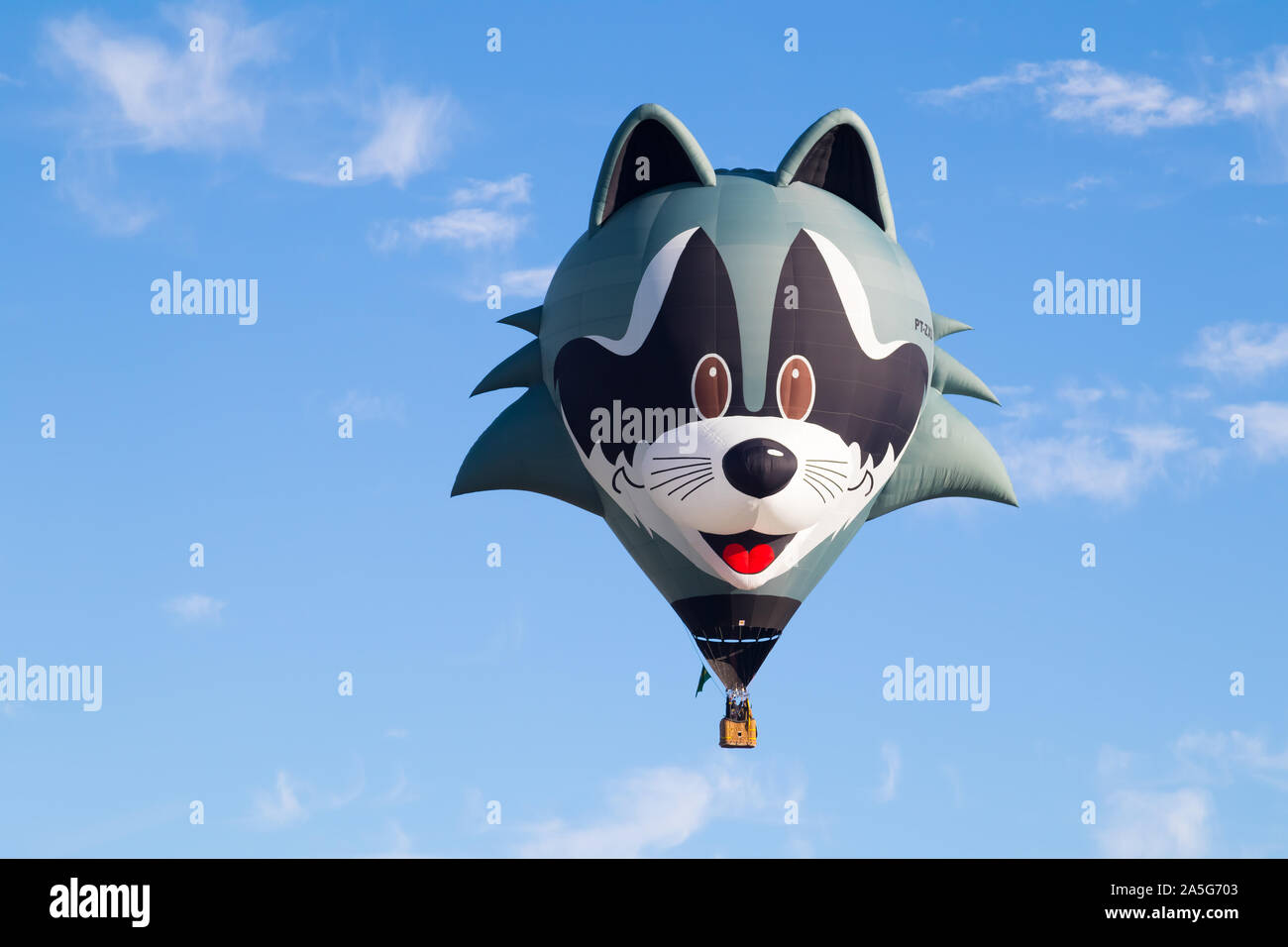 Albuquerque International Balloon Fiesta. Raccoon balloon from Sao ...