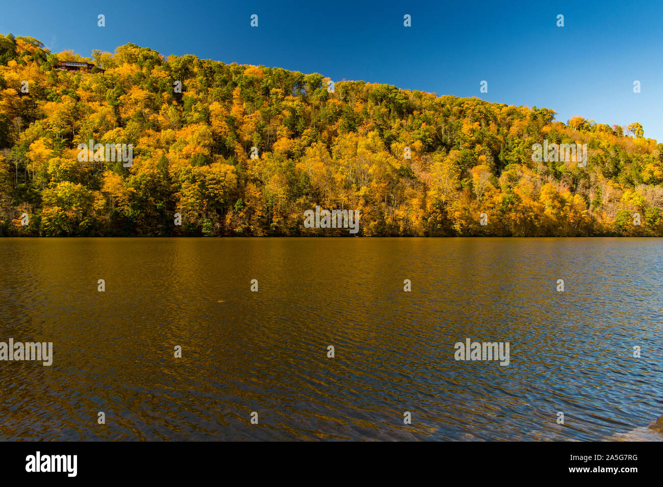 Colorful river and trees hi-res stock photography and images - Alamy