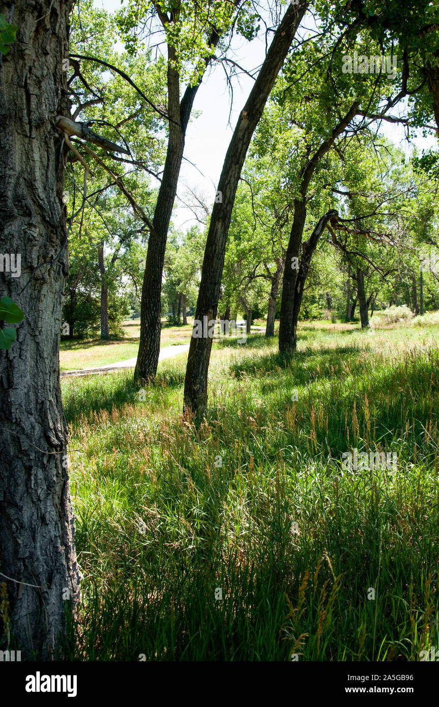 Walking though park hi-res stock photography and images - Alamy
