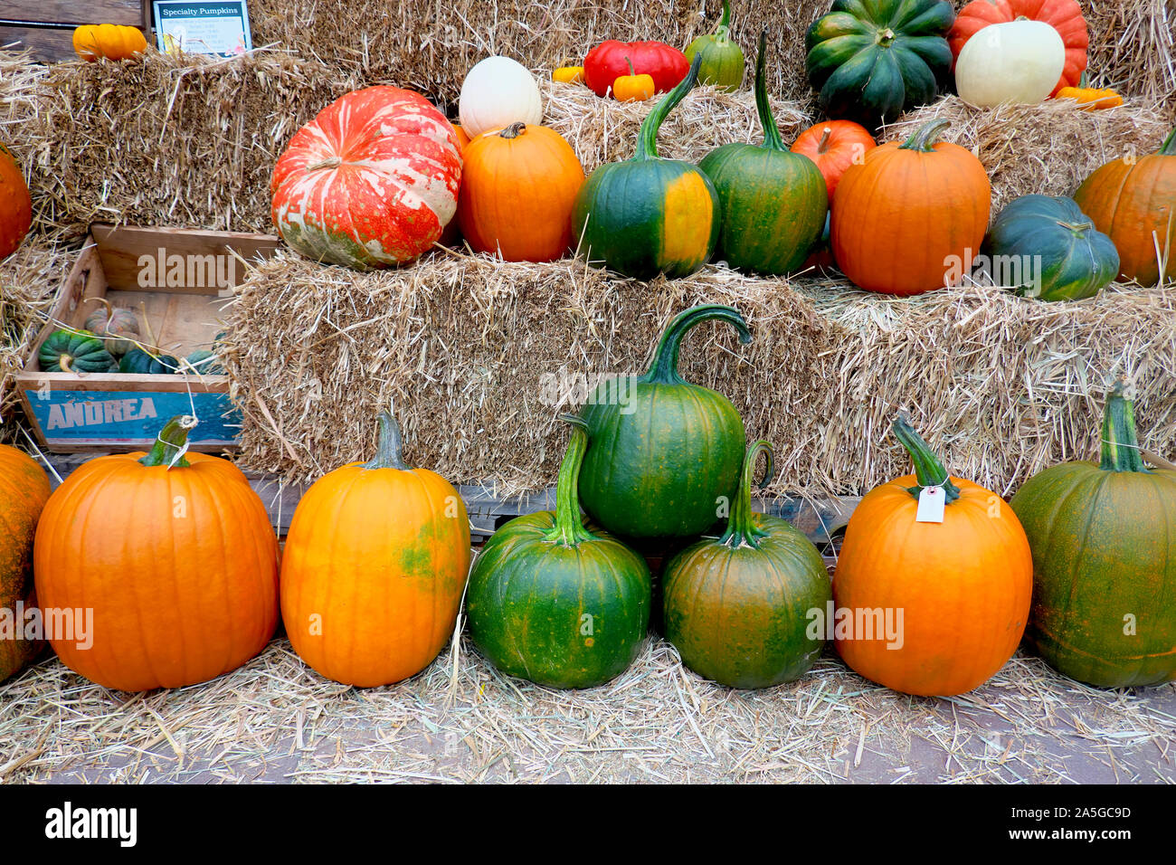 Fall seasonal food display hi-res stock photography and images - Alamy