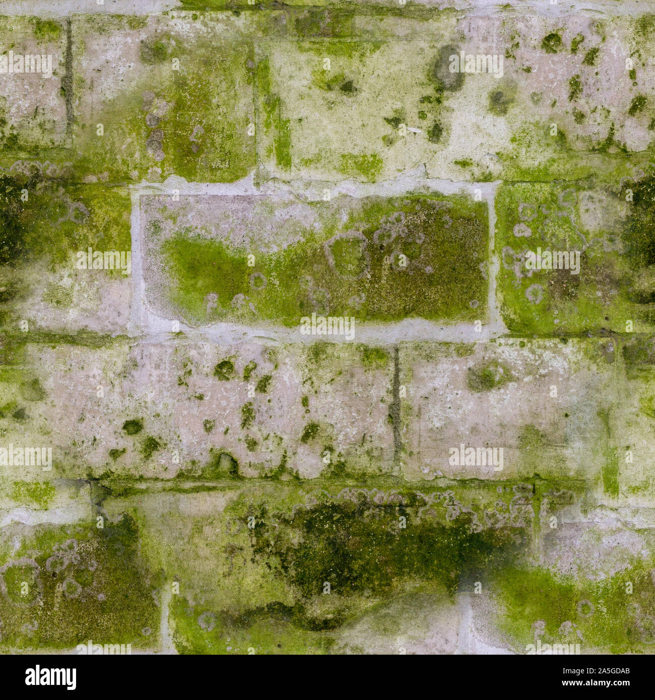 seamless old stone brick wall with green mold and moss texture ...