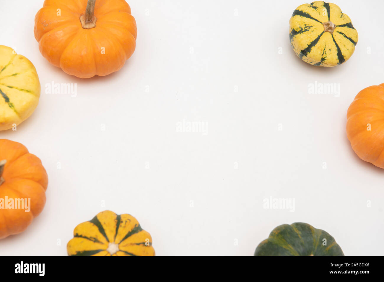 Mini pumpkins overhead hi-res stock photography and images - Alamy