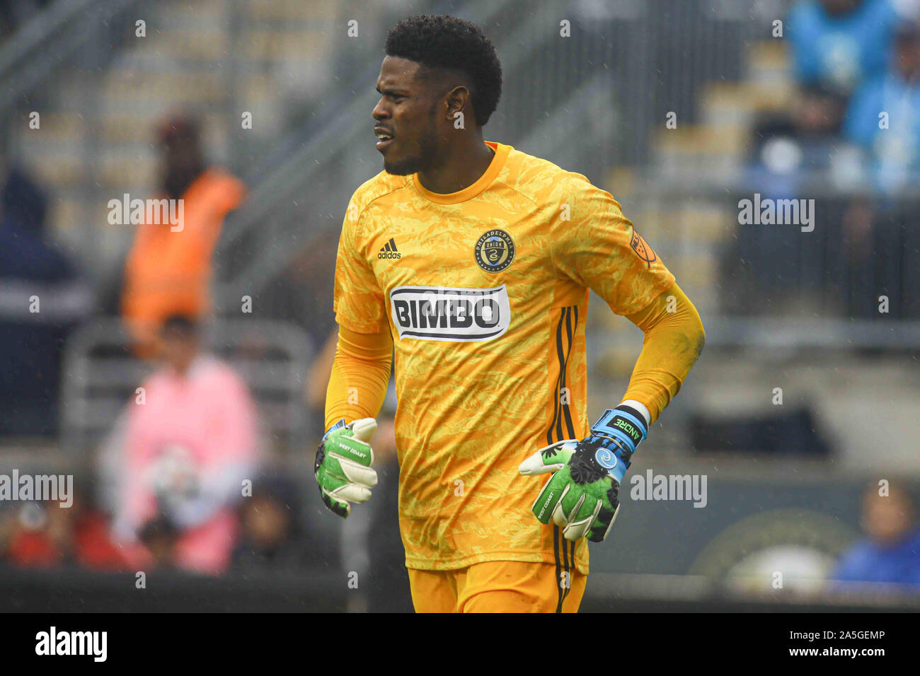 Seed bulls hi-res stock photography and images - Alamy