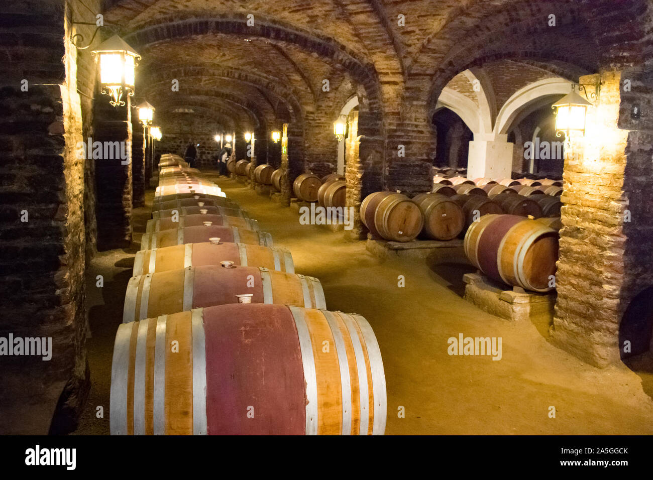 Underground Wine Storage Cellar With Rows Of Kegs for Aging Wine Stock ...