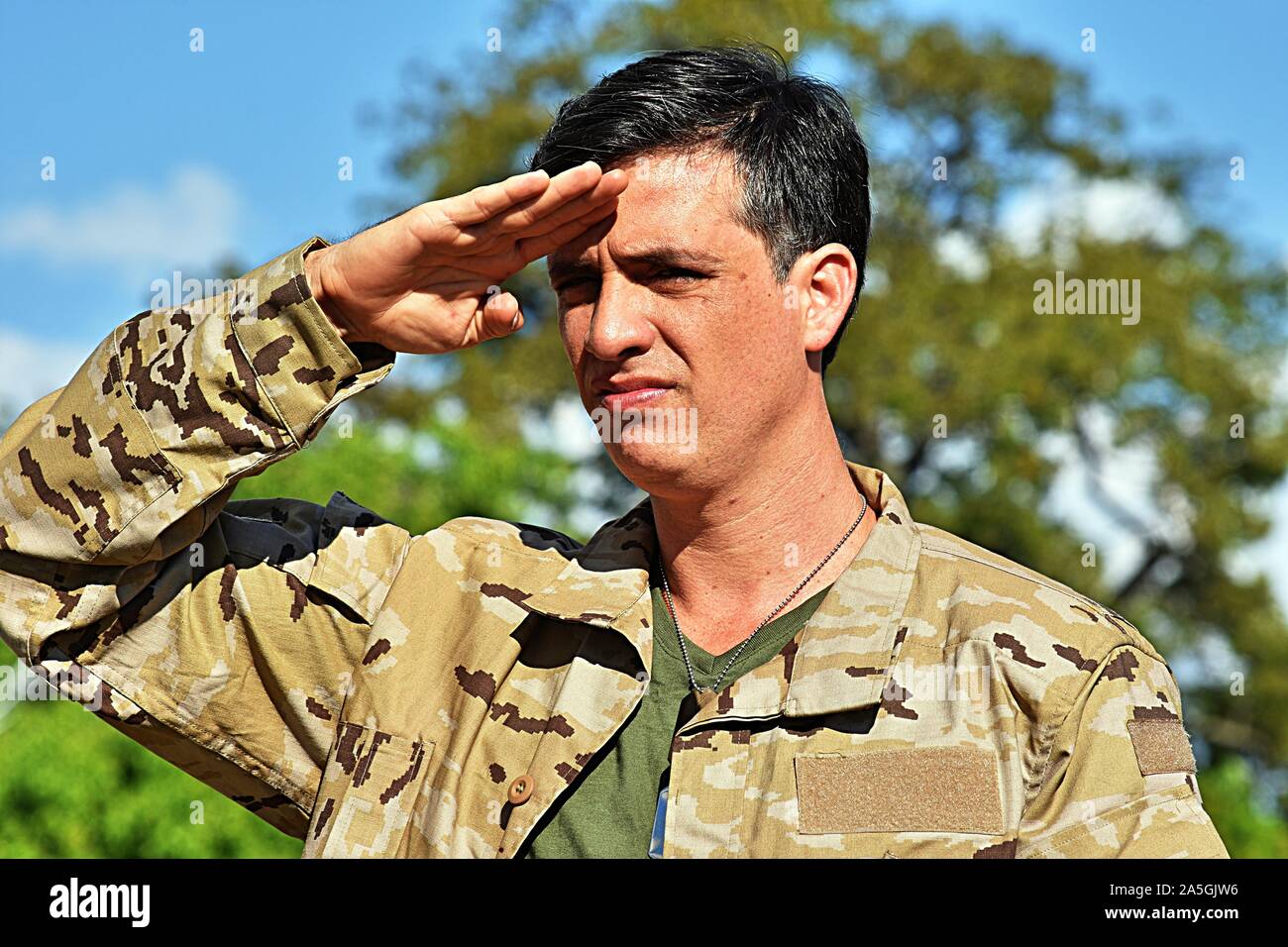 Male Soldier Saluting Stock Photo - Alamy