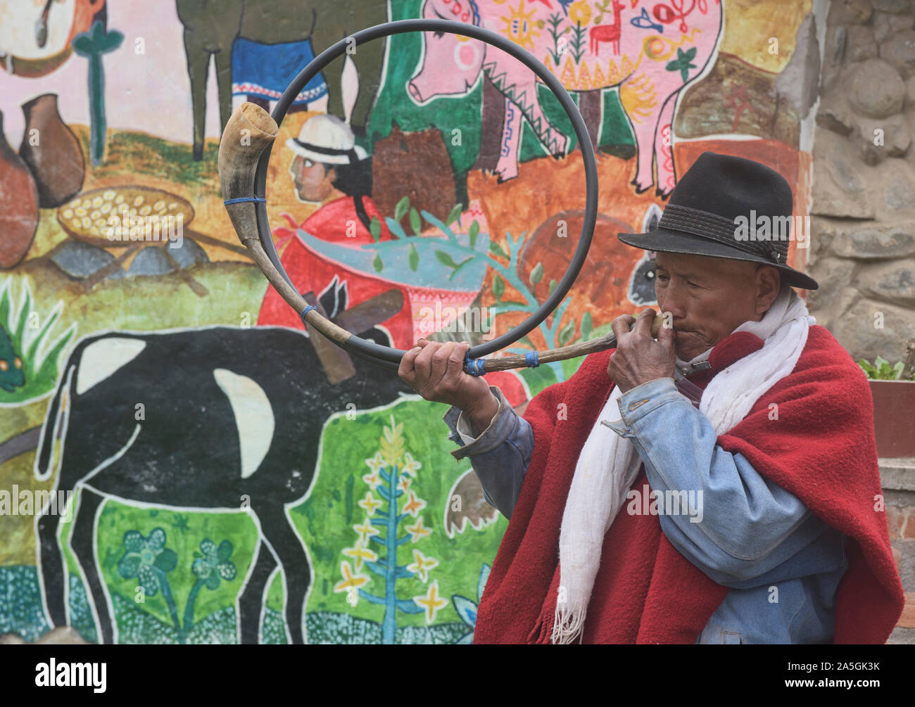 Indigenous highlander playing a cow horn trumpet, La Moya, Ecuador ...