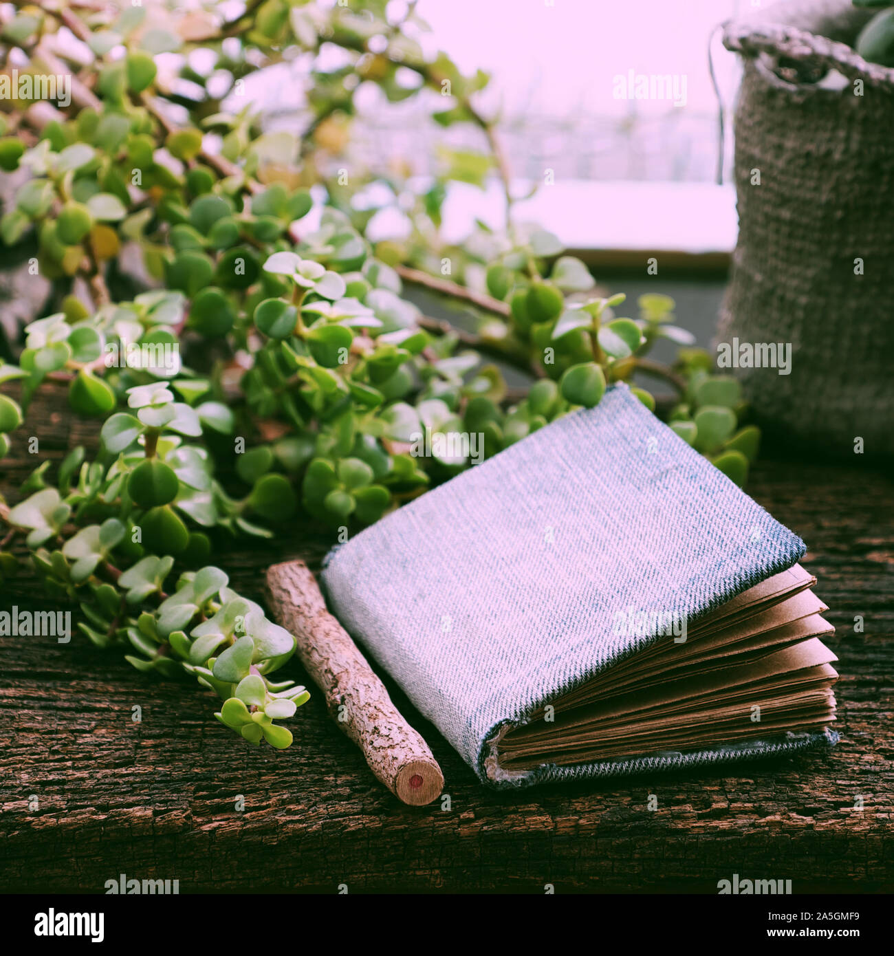 Concept to celebration special day Nov 20, handmade notebook from kraft ...