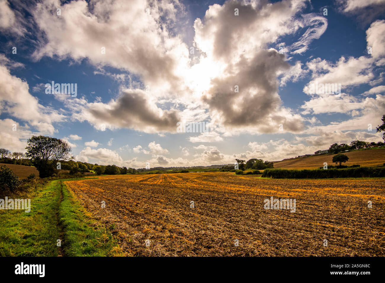 Farming landscape at Crowhurst, East Sussex, England with cut crop and ...