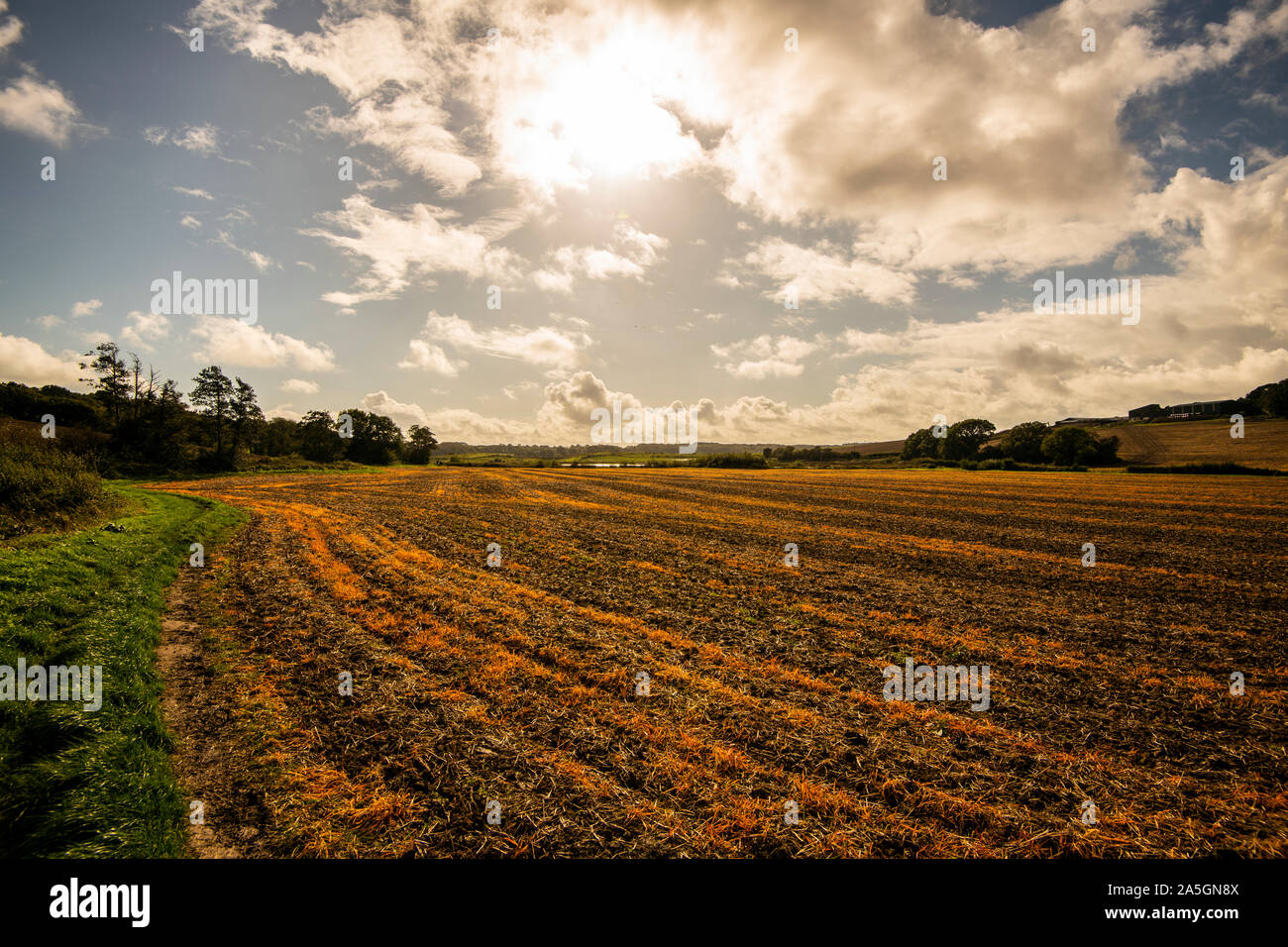 Sowing and reaping industry hi-res stock photography and images - Alamy