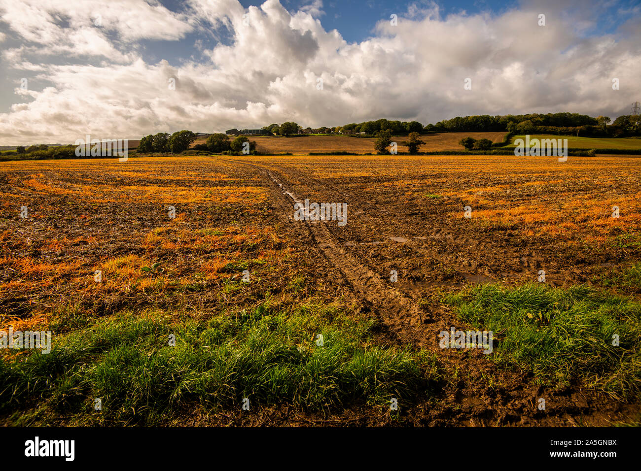 Farming landscape at Crowhurst, East Sussex, England with cut crop and ...
