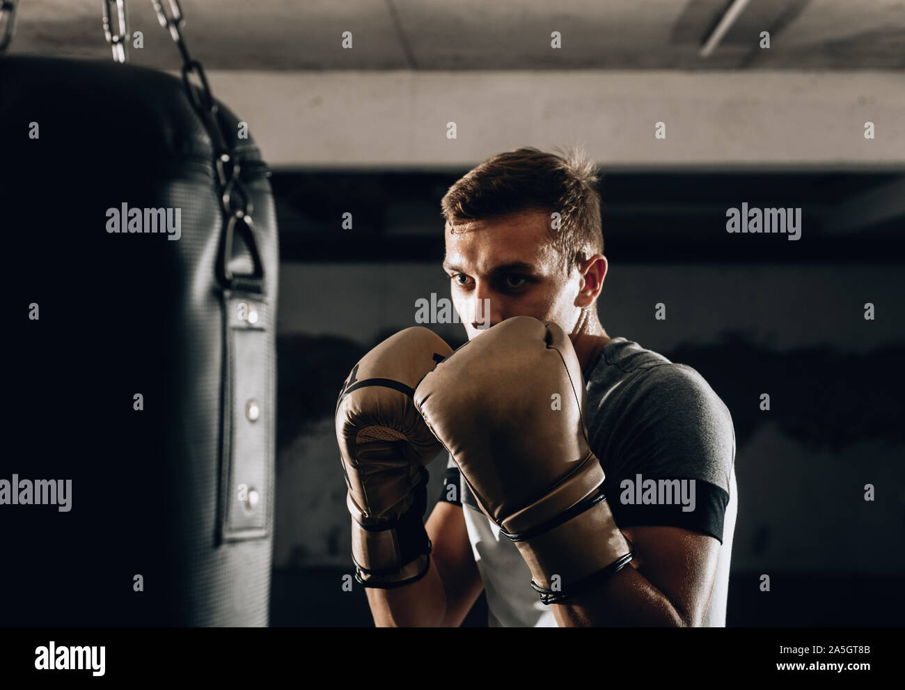 Adult boxer in boxing gloves training with boxing punching bag in a gym ...