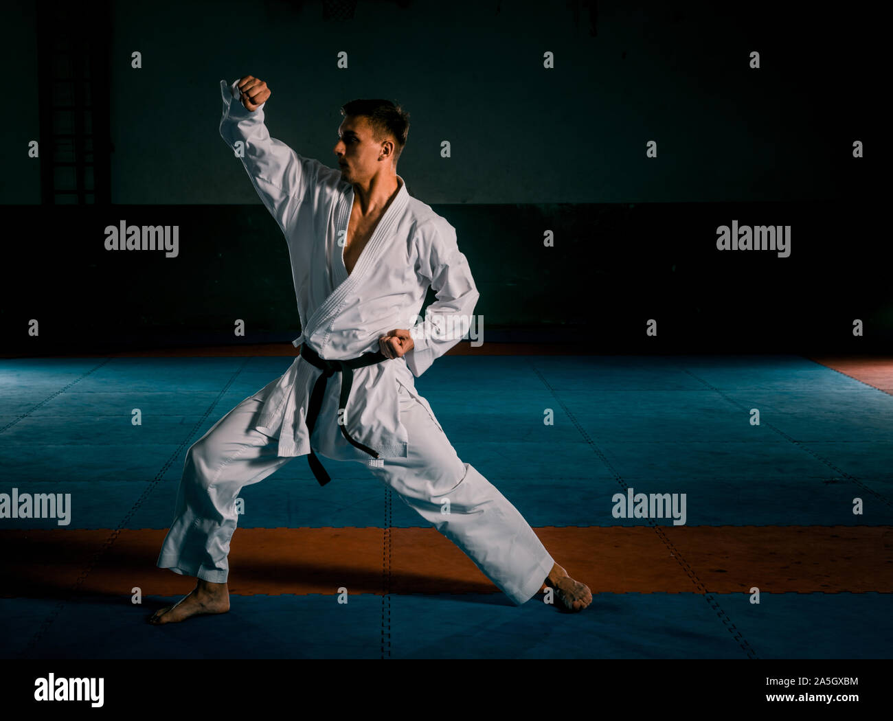 Karate man with black belt posing, champion of the world on black ...