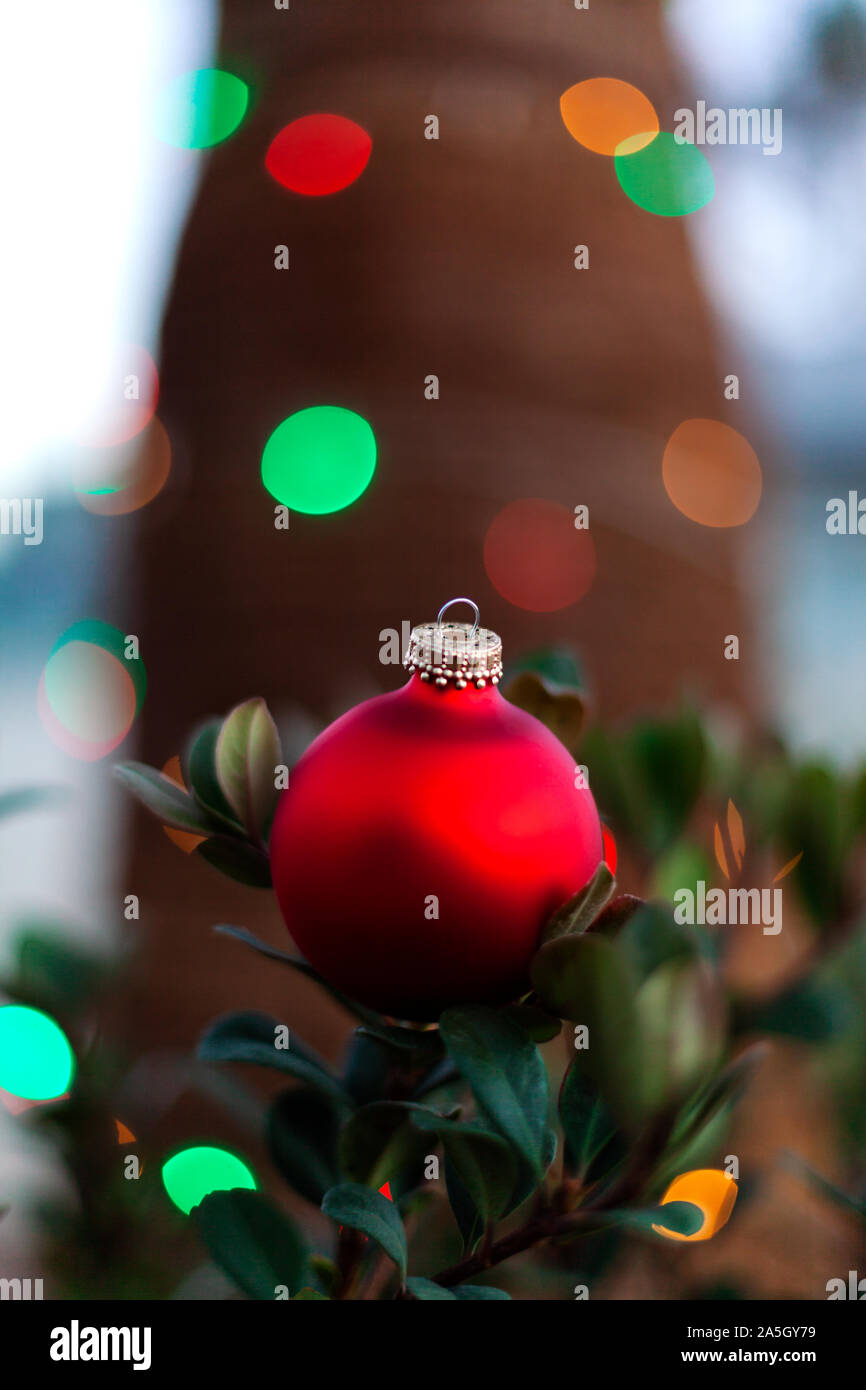 Red Christmas ball as traditional ornament in selective focus, season ...