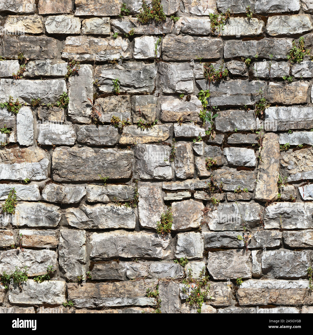 Building Wall Texture Seamless