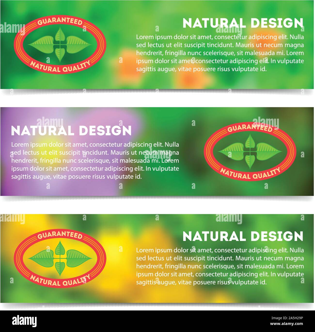 Set of eco banners with flat vintage label Stock Vector Image & Art - Alamy