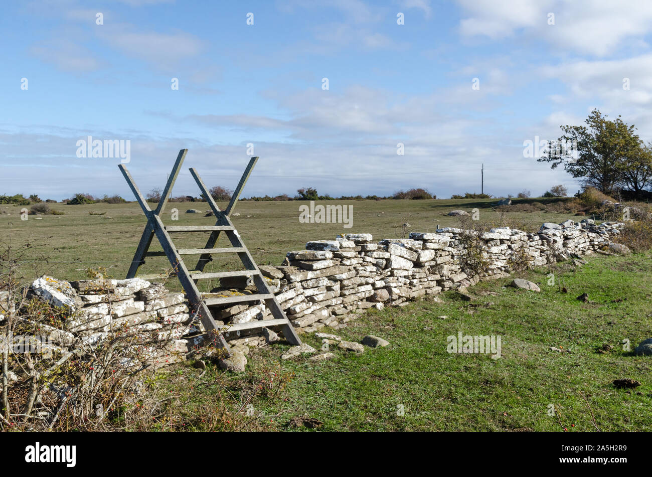 Wooden stile crossing an old dry stone wall at the island Oland in ...