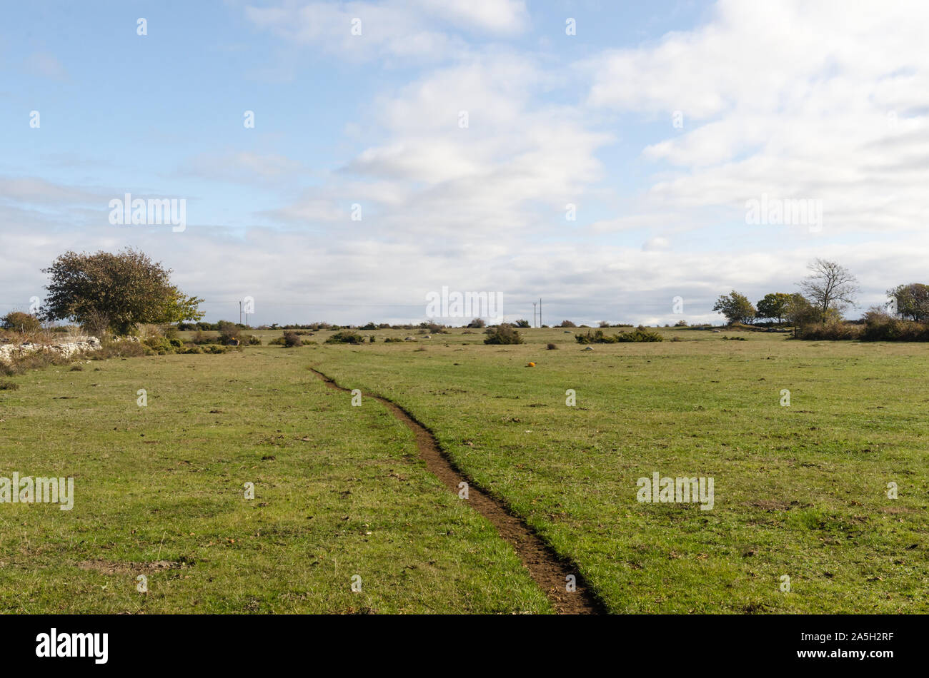 Cowpath hi-res stock photography and images - Alamy
