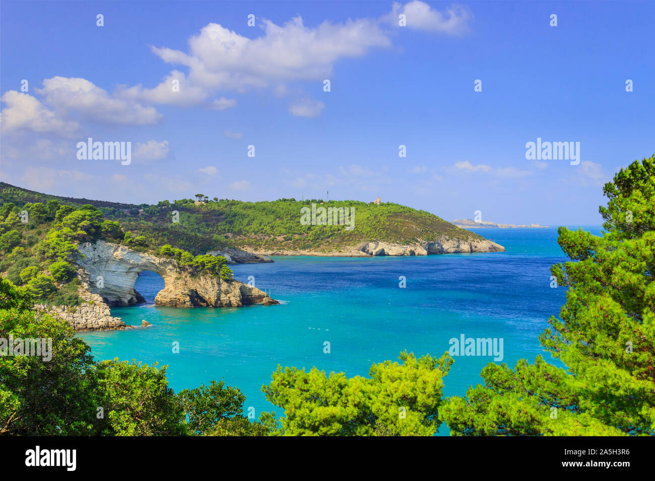 Coast gargano national park puglia hi-res stock photography and images ...
