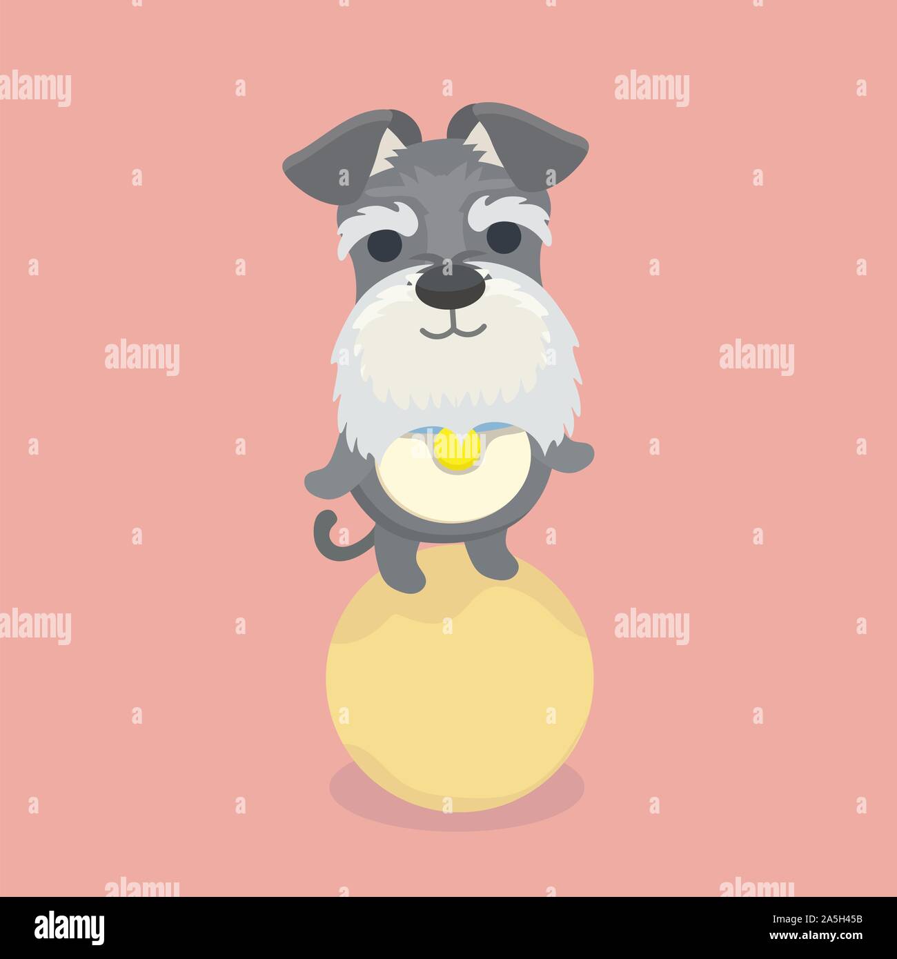 Schnauzer icon vector vectors hi-res stock photography and images - Alamy