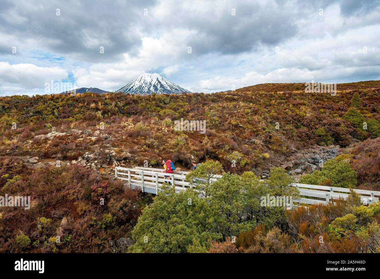 Bridge at tongariro northern circuit hi-res stock photography and ...