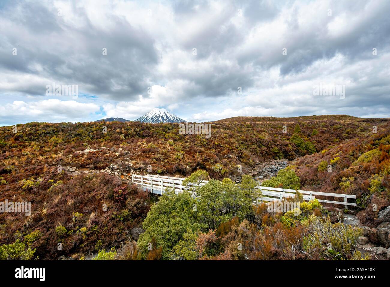 Bridge at Tongariro Northern Circuit, New Zealand Great Walks, Volcano ...