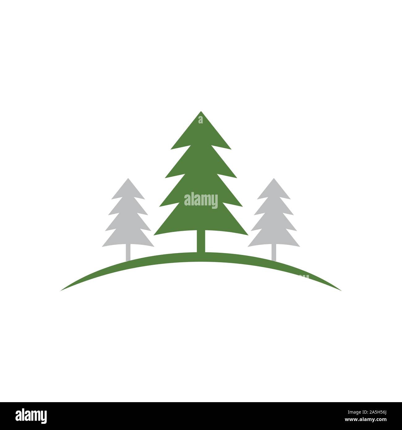 Pine Tree Graphic Design