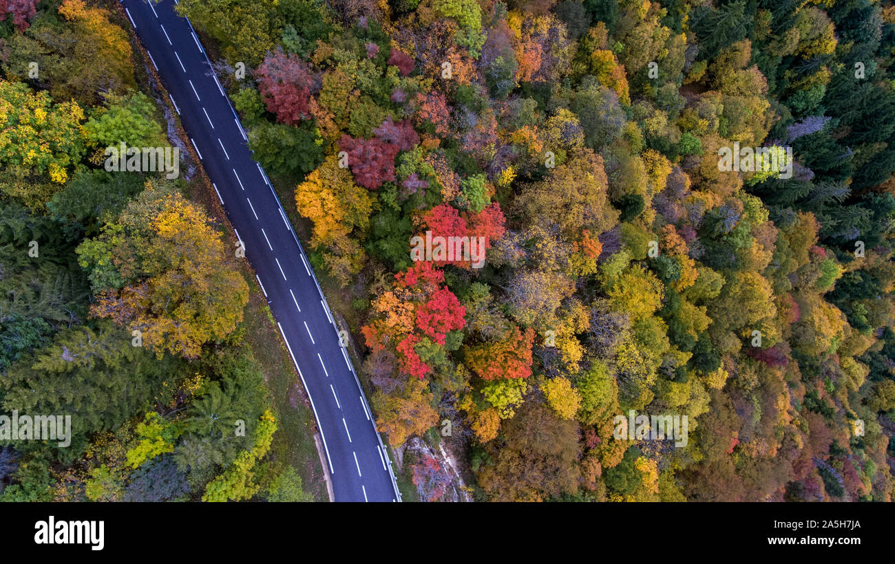 Winding road through the woods in the fall hi-res stock photography and ...