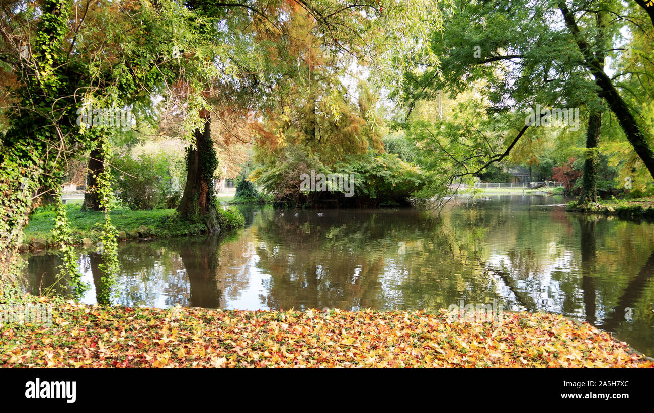 Diversified colors hi-res stock photography and images - Alamy