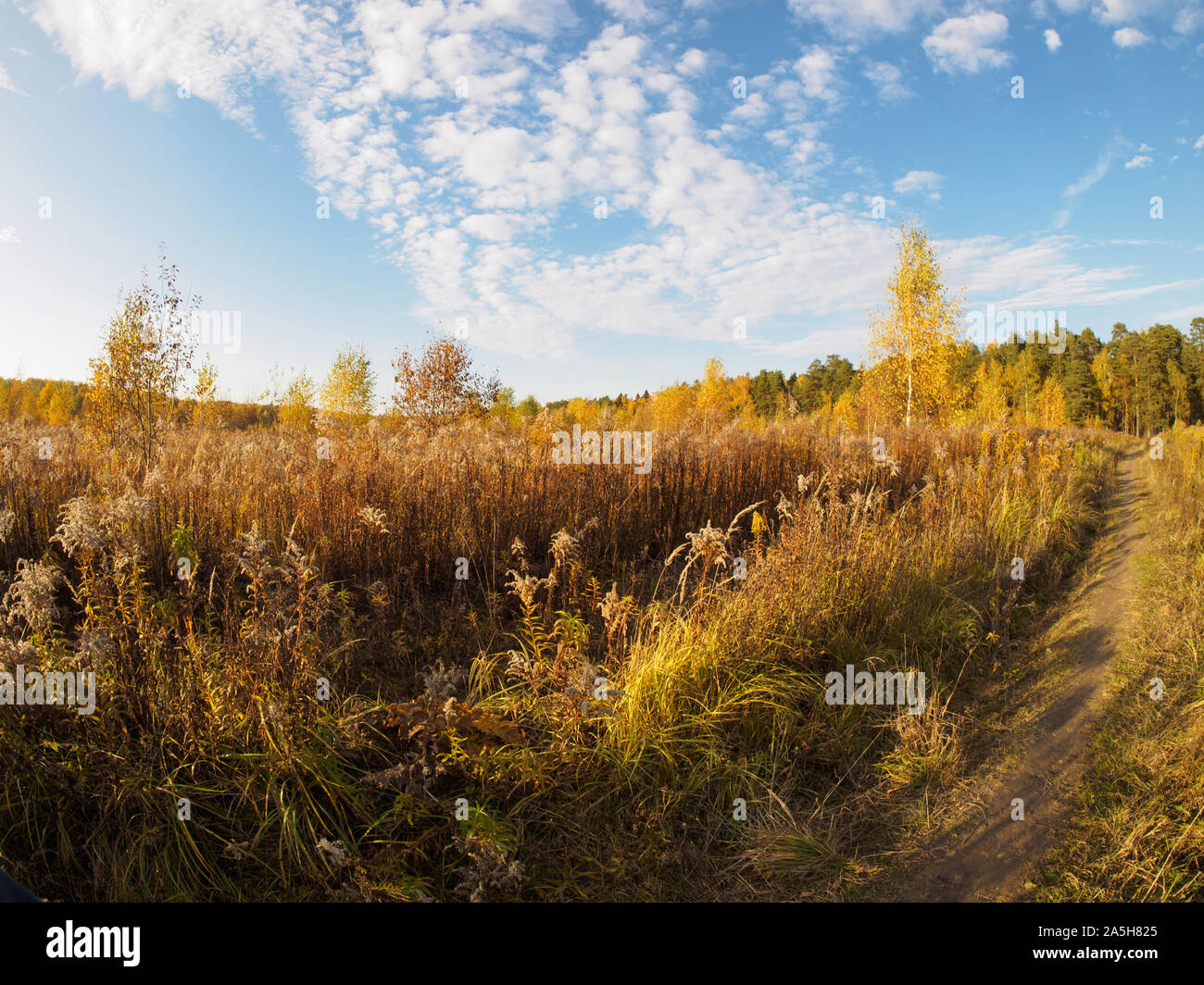 Autumn landscape. Field of grass, road and blue sky. Fish eye lens ...