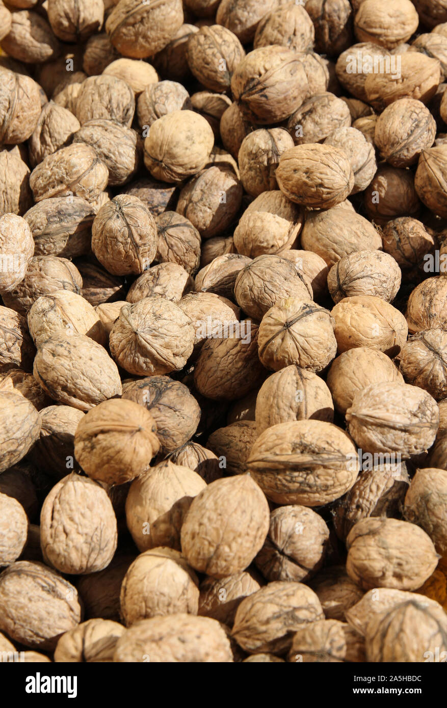 walnuts drying Italy Stock Photo - Alamy