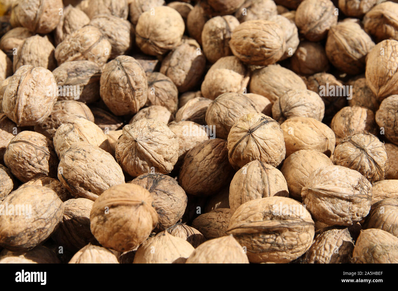 Nuts drying hi-res stock photography and images - Alamy