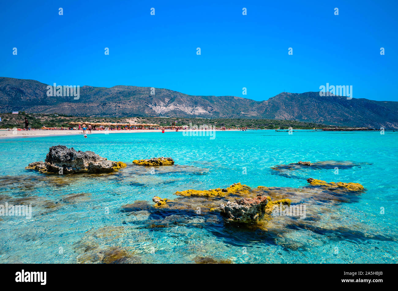 Elafonisi beach, the amazing pink beach of Crete which has been voted ...