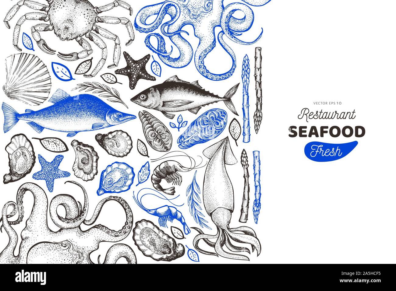 Seafood and fish design template. Hand drawn vector illustration. Can ...