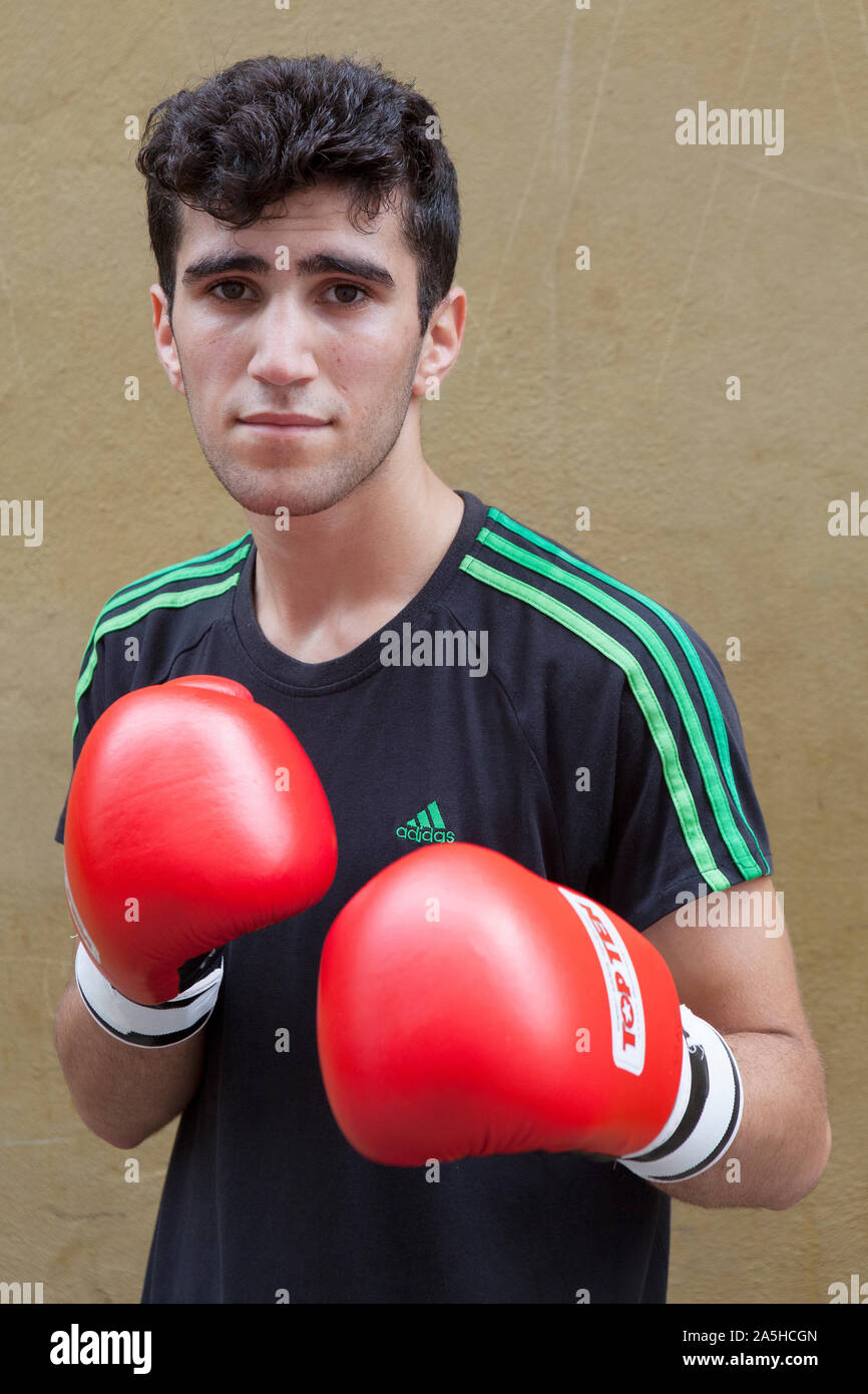Dutch boxer hi-res stock photography and images - Alamy