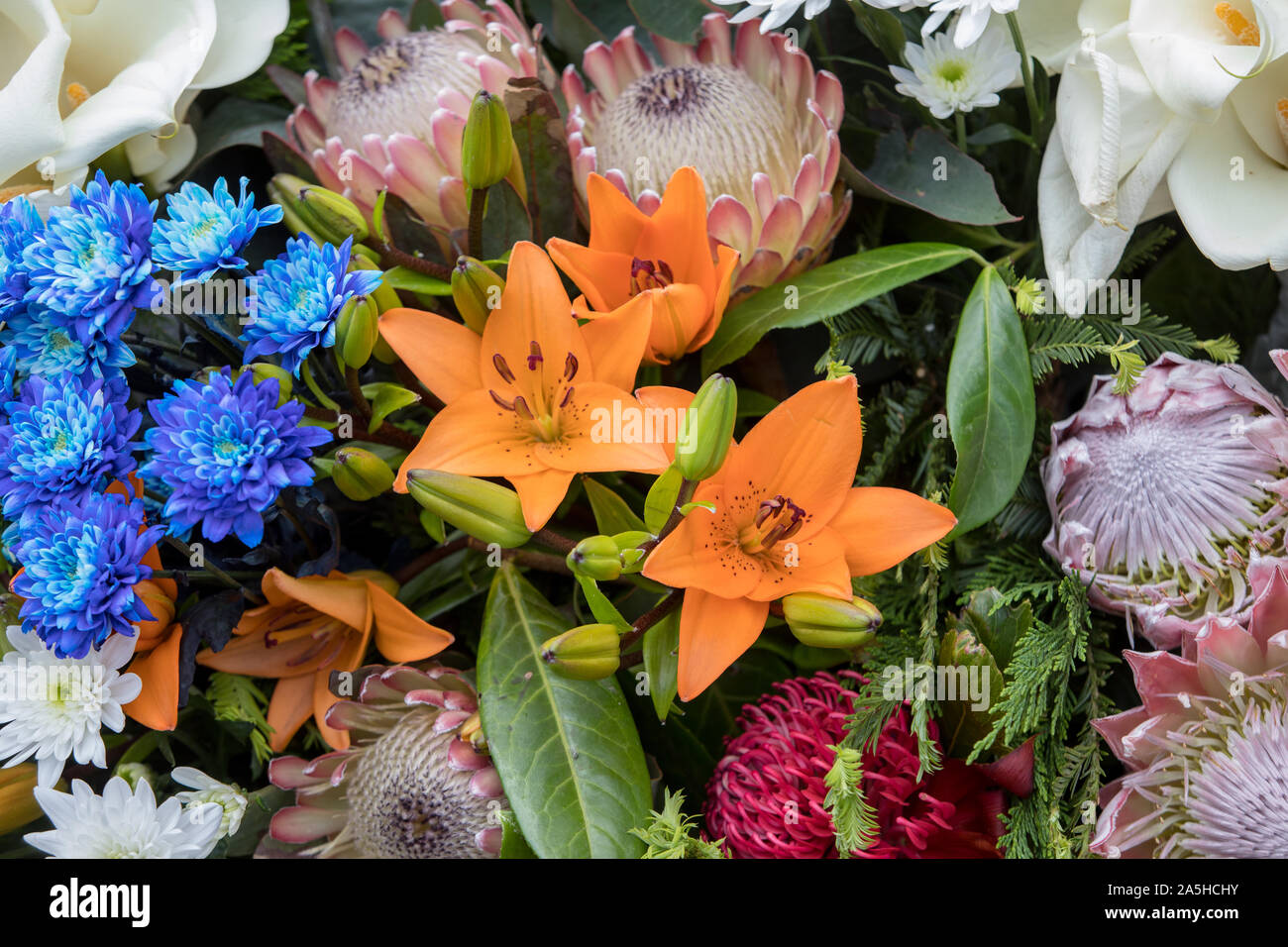 Beauty floristic decoration with colorful tropical flowers Stock Photo ...