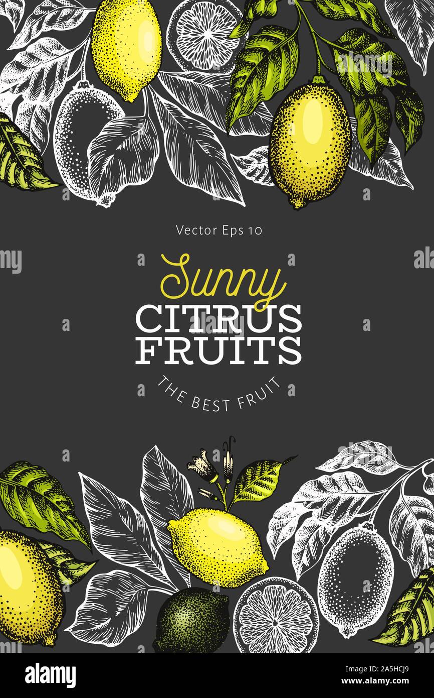 Lemon tree banner template. Hand drawn vector fruit illustration on ...