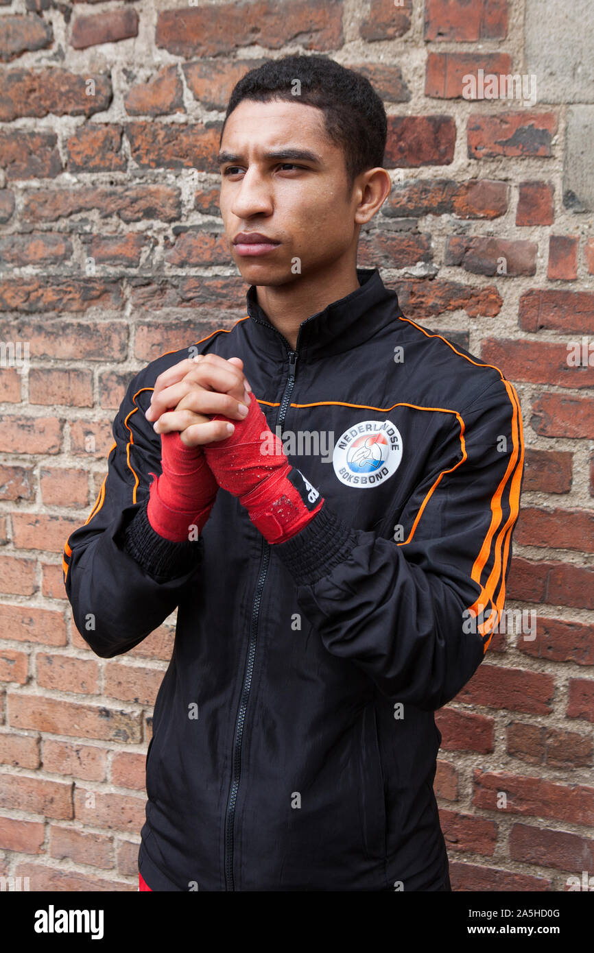 Dutch boxer hi-res stock photography and images - Alamy