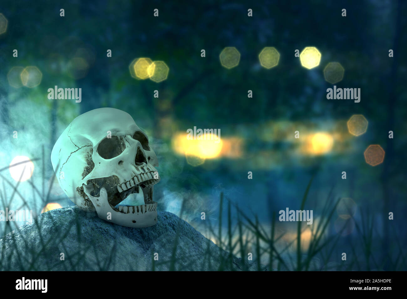 Human skull on the stone in the forest with blurred lights background ...