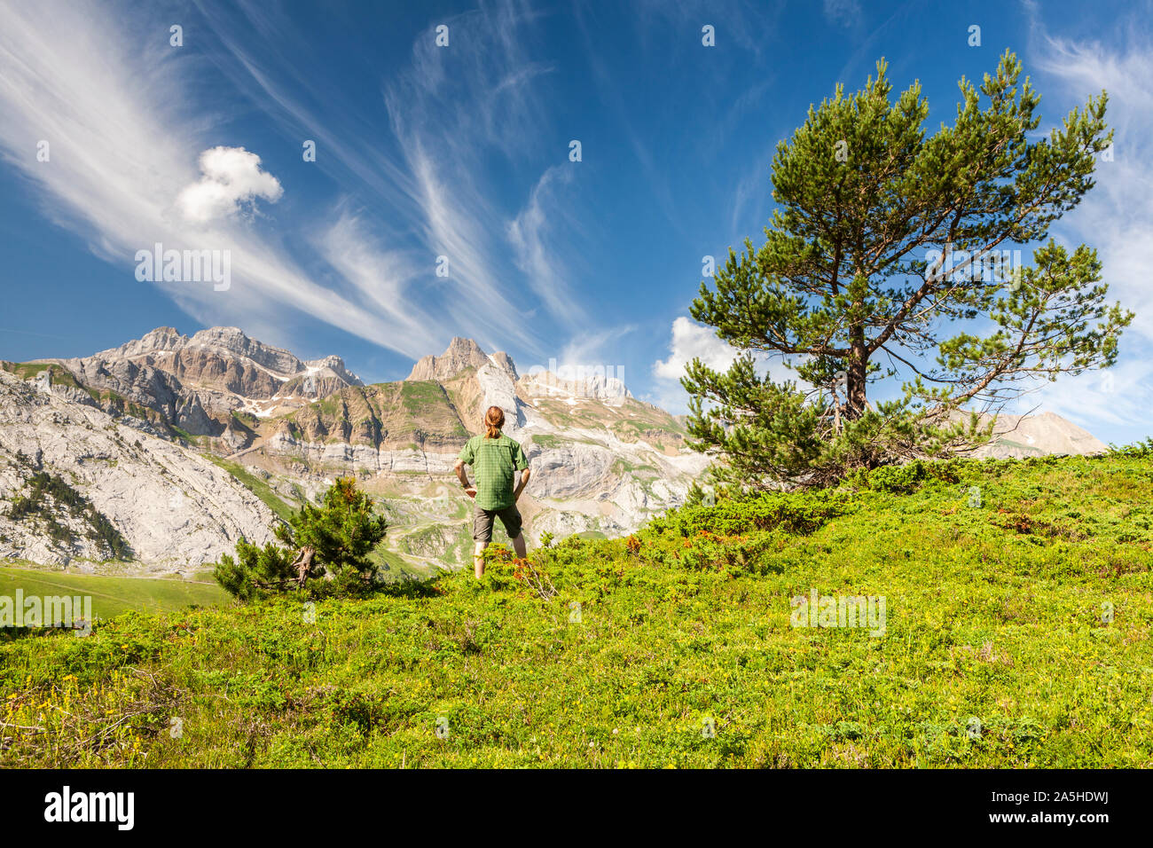 Candanchu tree hi-res stock photography and images - Alamy