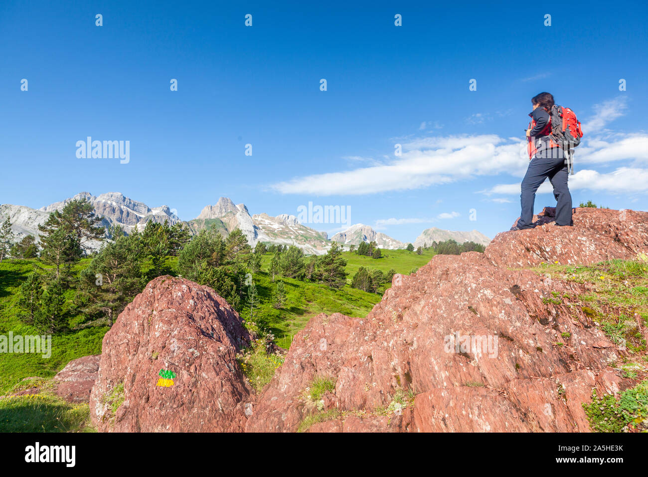 Candanchu tree hi-res stock photography and images - Alamy