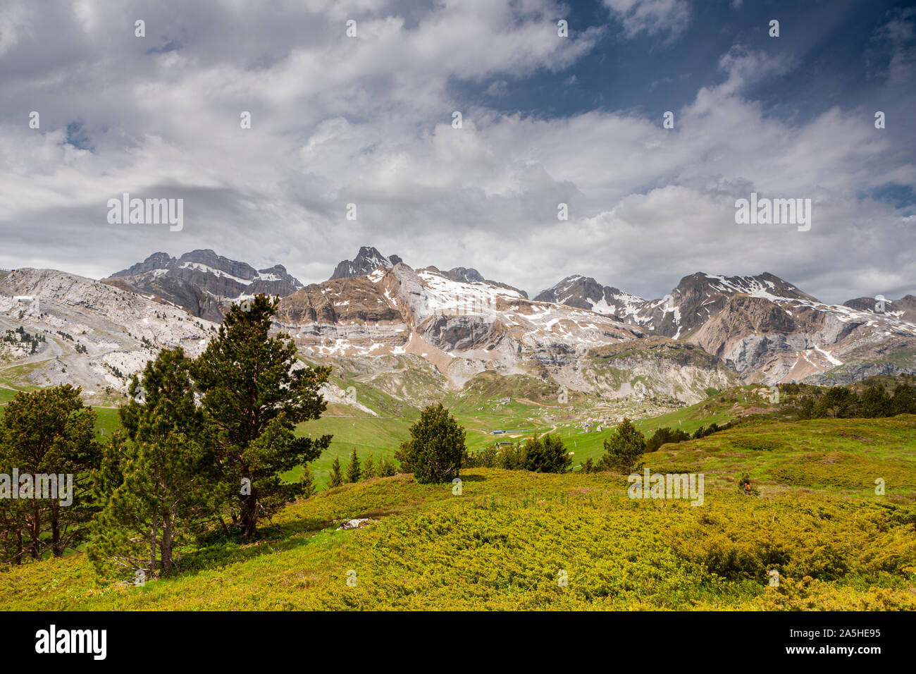 Candanchu tree hi-res stock photography and images - Alamy