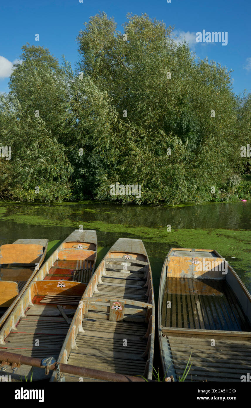 Boats of the Oxford University Rowing Clubs by the river Thames in ...